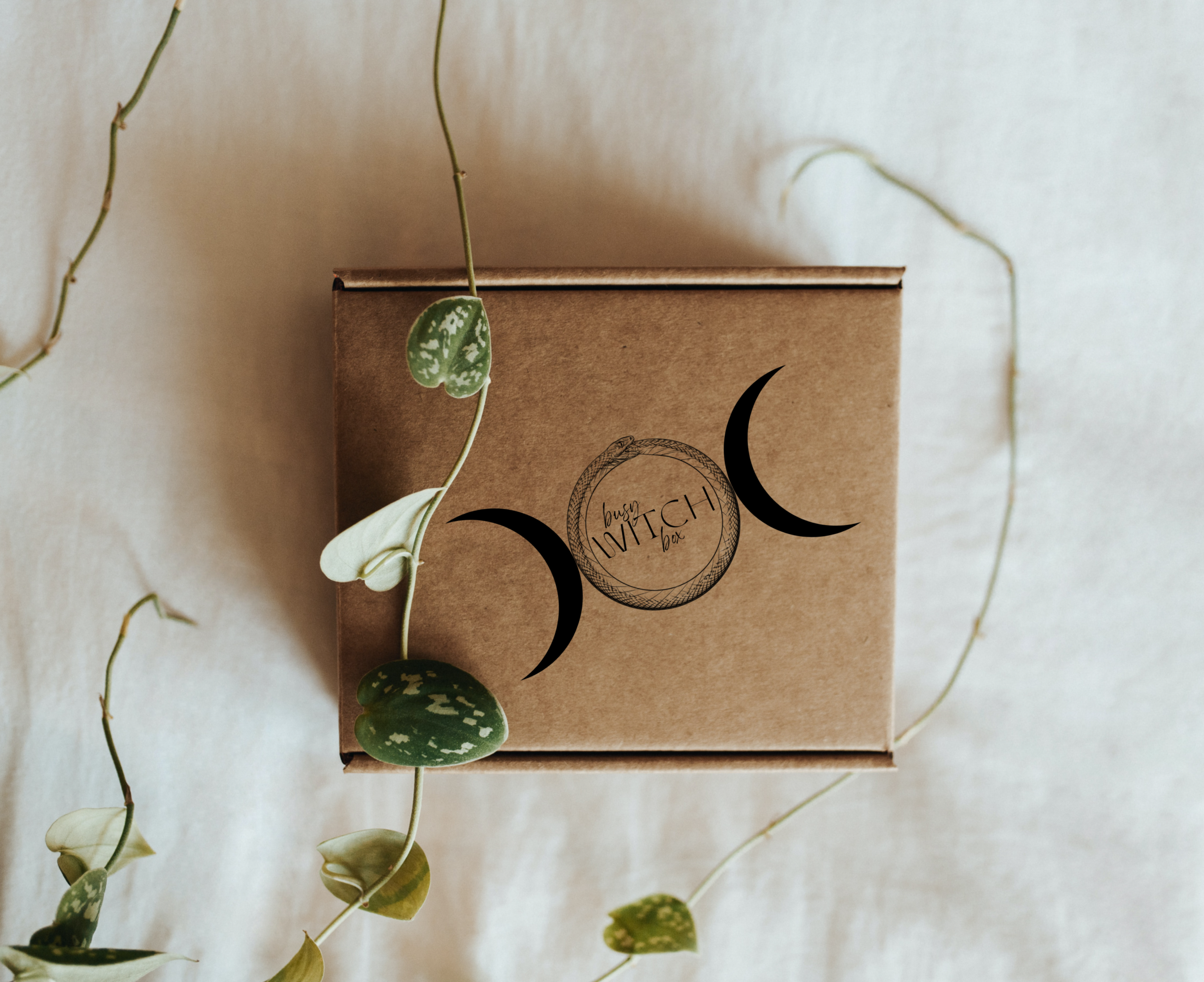 All Products – Busy Witch Box